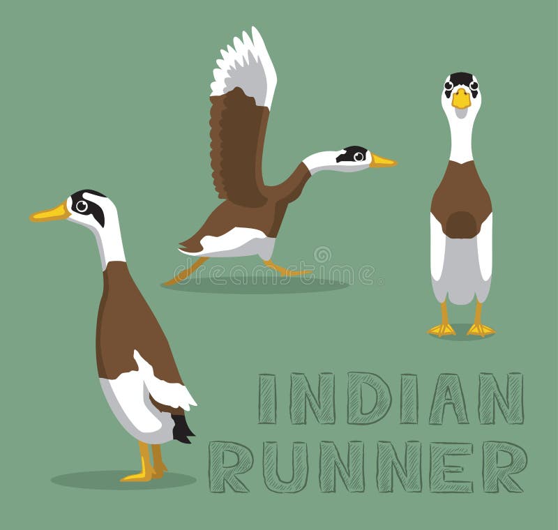 Ejemplo De Duck Indian Runner Cartoon Vector Ilustración del Vector ...