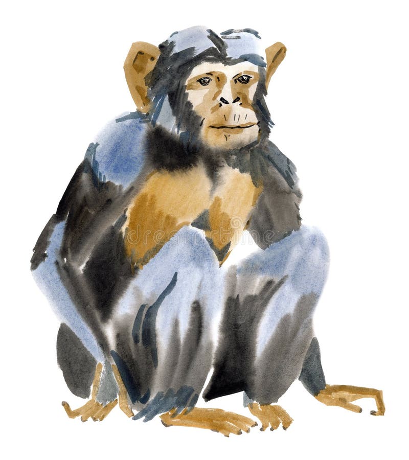 Simio Ilustraciones Stock, Vectores, Y Clipart – (1,135 Ilustraciones ...