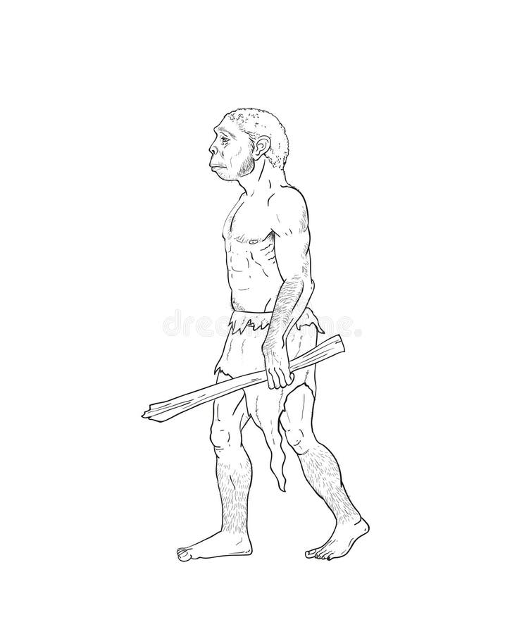 Australopithecus Ilustraciones Stock, Vectores, Y Clipart – (222 ...