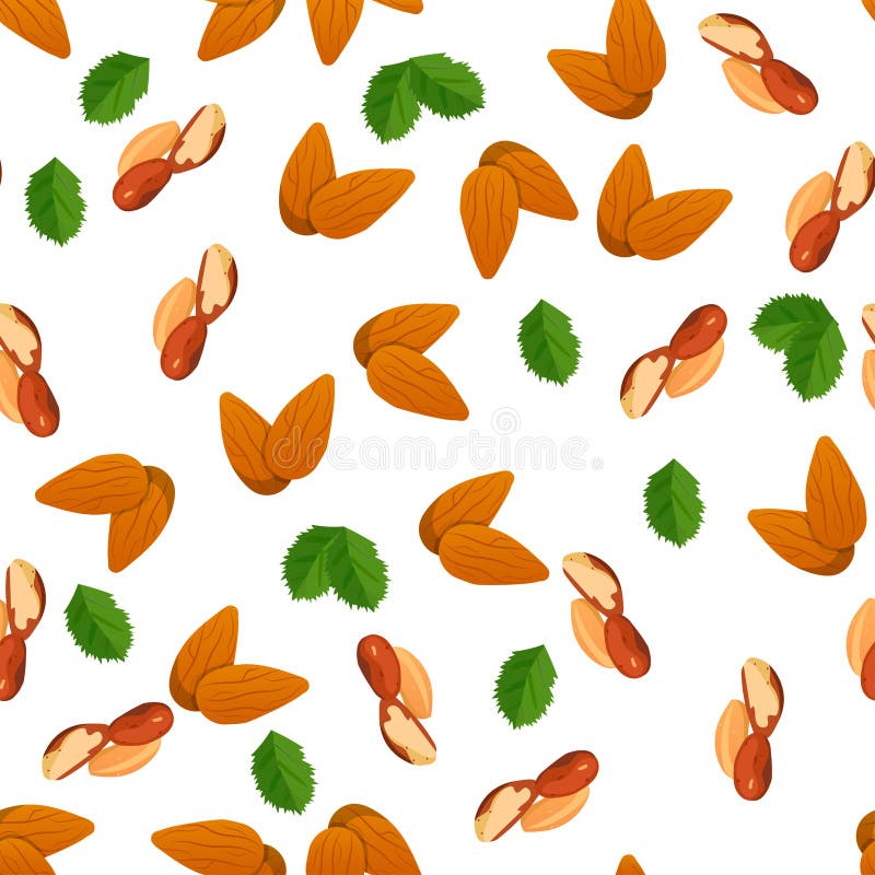 Ejemplo de nueces ilustración del vector. Ilustración de objeto - 91348691