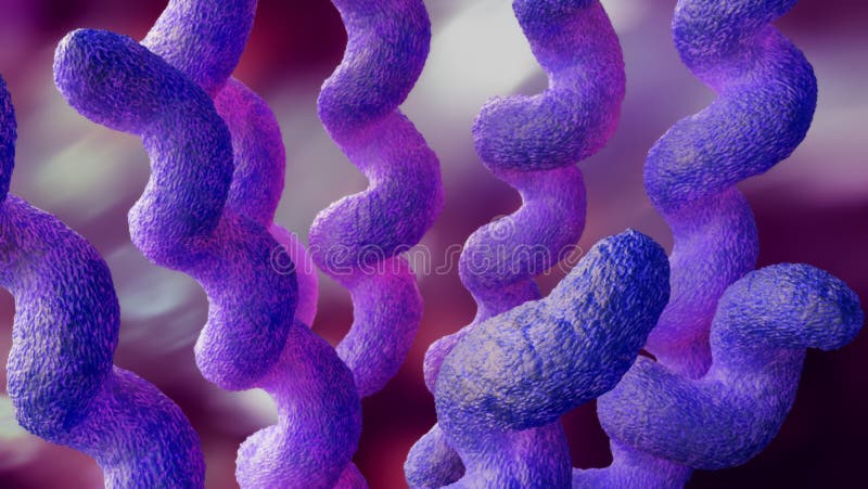 Bacterias Del Jejuni Del Campylobacter - Microscopio Electrónico De ...