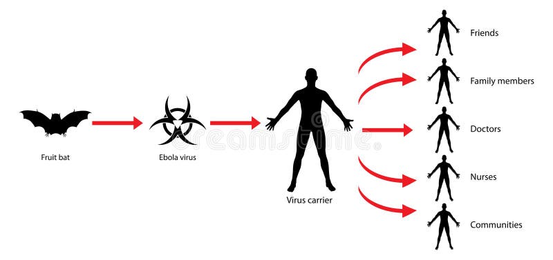 Ejemplo Del Diagrama De La Extensión Del Virus De La Transmisión De ... Ejemplo Del Diagrama De La Extensión Del Virus De La Transmisión De ...