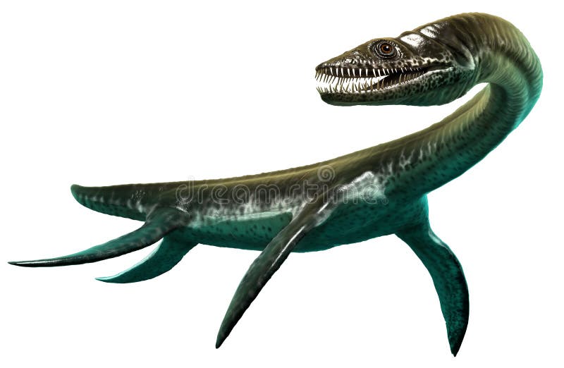 Plesiosaurus ilustración del vector. Ilustración de color - 14886771