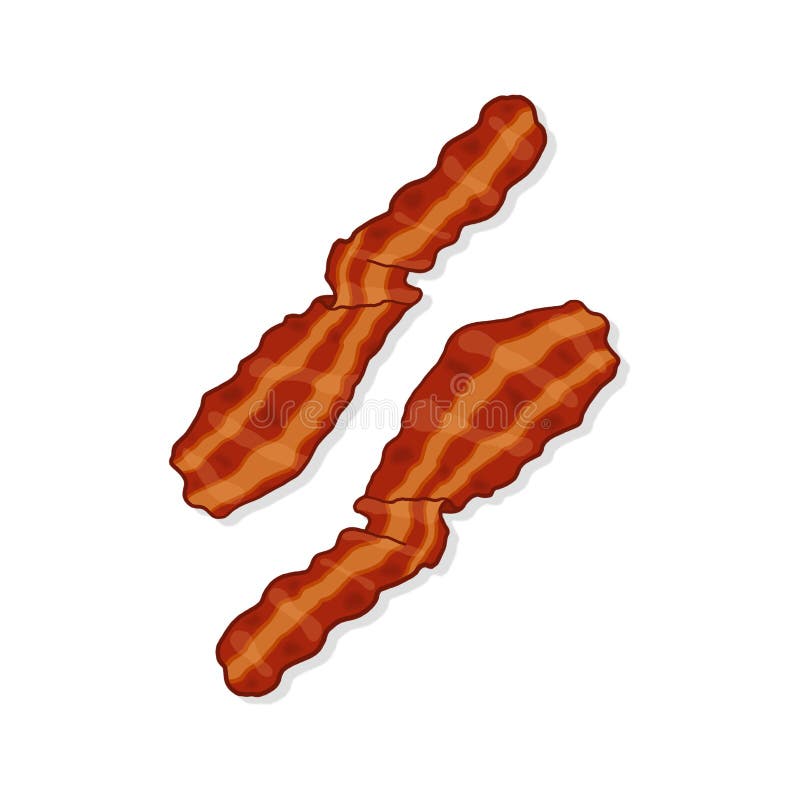 Ilustración del tocino stock de ilustración. Ilustración de comidas ...