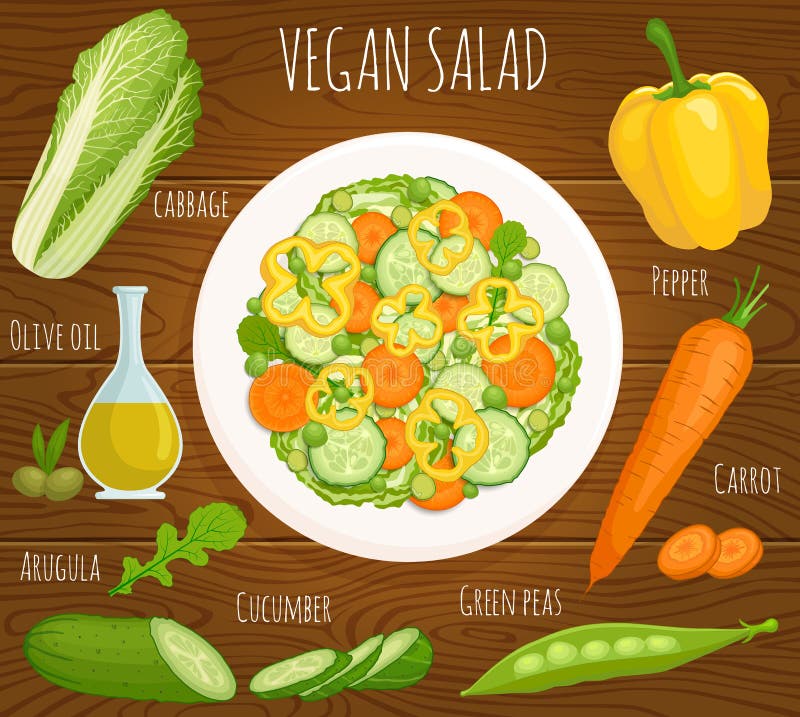 Ejemplo Del Vector De Cocinar La Ensalada Cooking Ilustración del ...