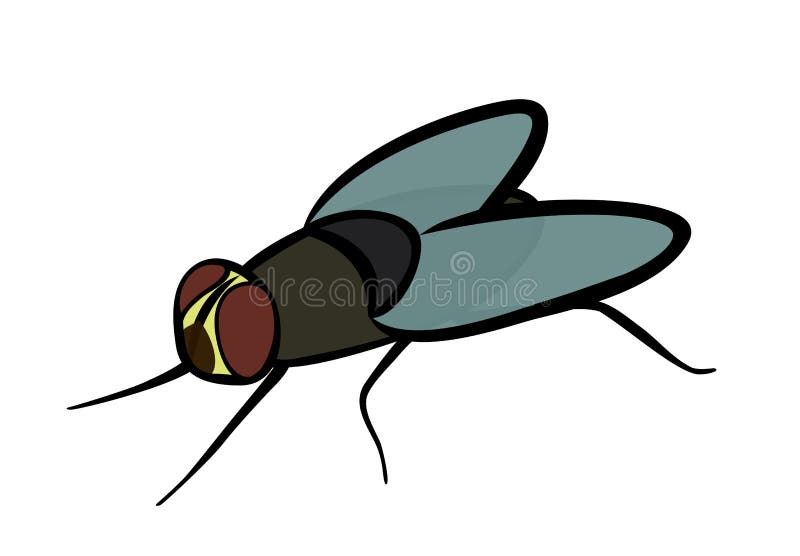 Ejemplo Del Vector De La Mosca Ilustración del Vector - Ilustración de ...