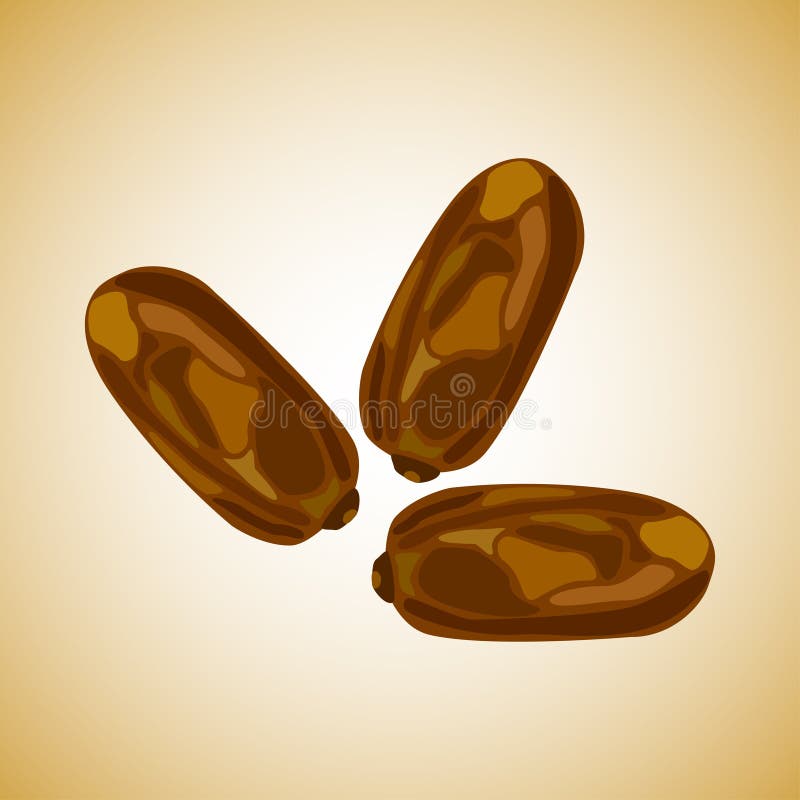 Ejemplo Del Vector De La Palma Datilera Fechas Secadas Aisladas ...