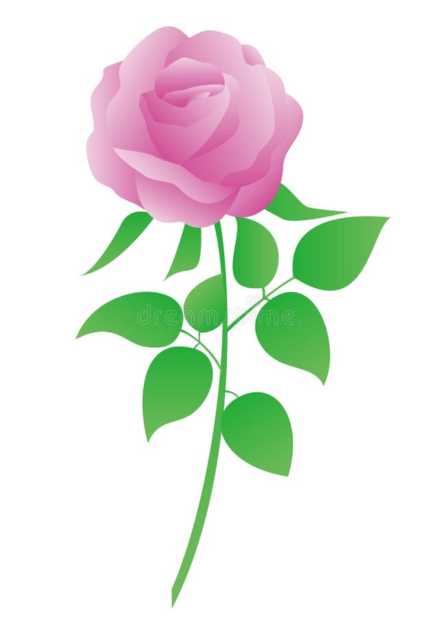 Ejemplo Del Vector De La Rosa Del Rosa Ilustración del Vector ...