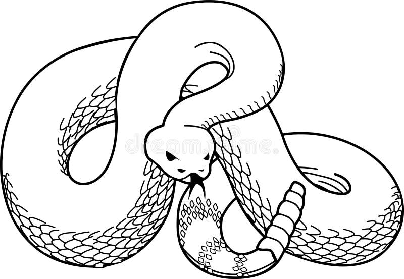 Ejemplo Del Vector De La Serpiente De Cascabel Ilustración del Vector ...
