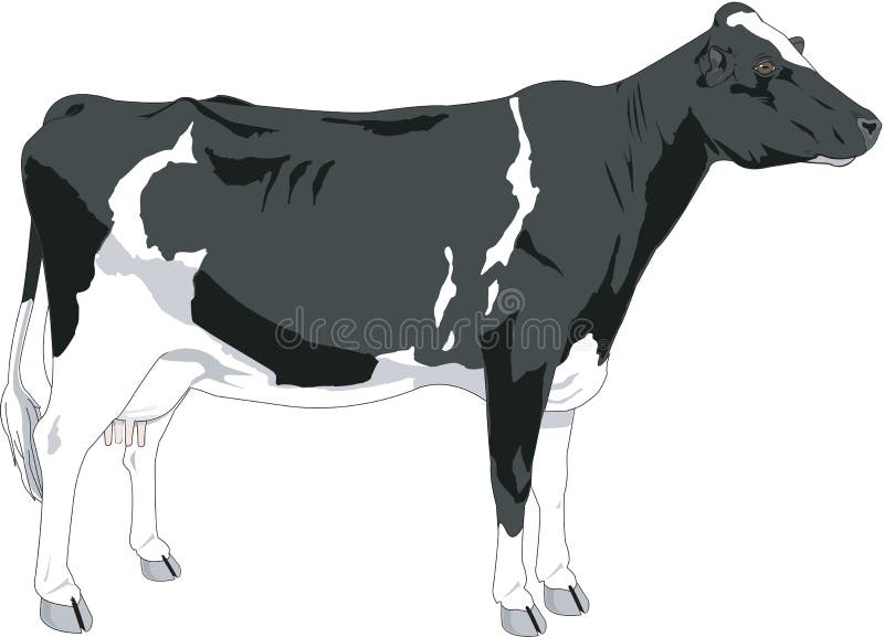 Ejemplo Del Vector De La Vaca Ilustración del Vector - Ilustración de ...