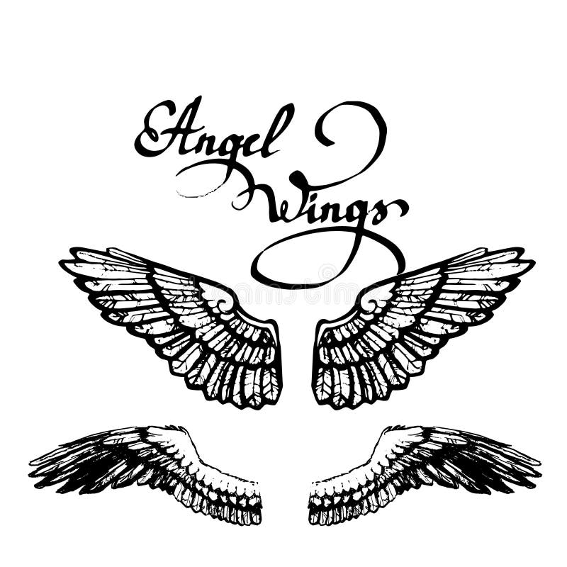 Ejemplo Del Vector De Las Alas En Letras Stock de ilustración ...