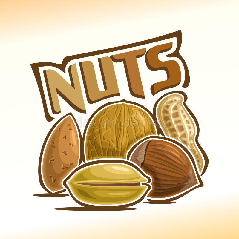 Ejemplo Del Vector De Nueces Ilustración del Vector - Ilustración de ...