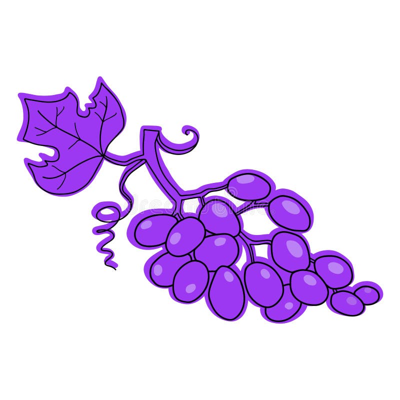 Ejemplo Del Vector De Uvas Dibujadas Mano Ilustración del Vector ...