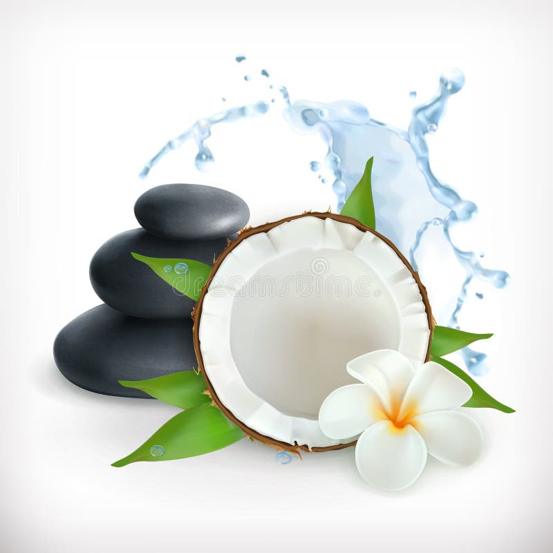 Ejemplo Del Vector Del Coco Ilustración del Vector - Ilustración de ...