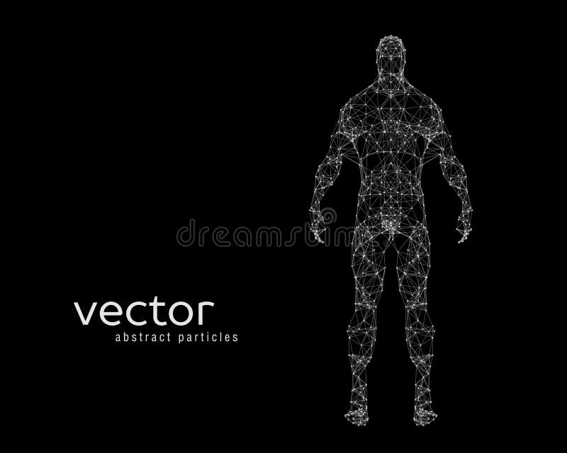 Ejemplo Del Vector Del Cuerpo Humano Ilustración del Vector ...