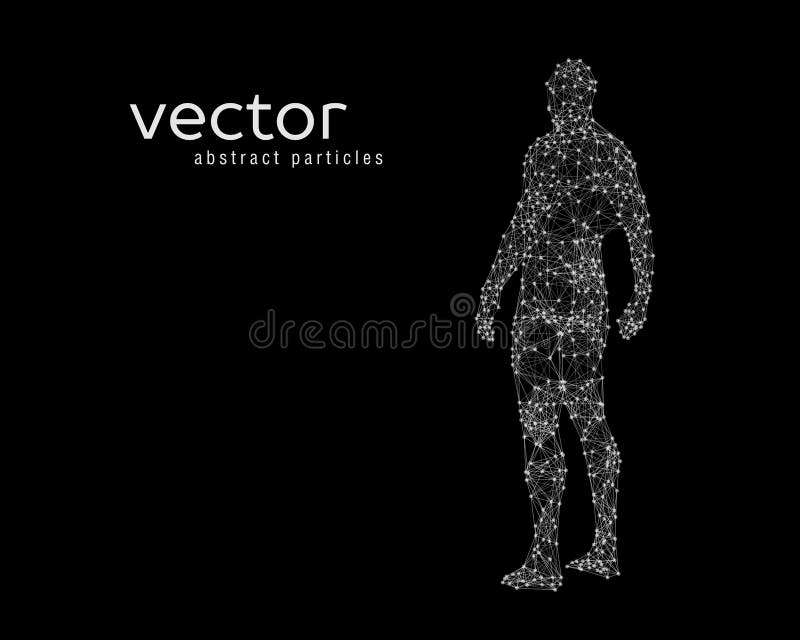Ejemplo Del Vector Del Cuerpo Humano Ilustración del Vector ...