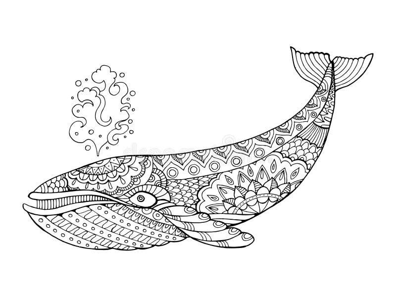 Ejemplo Del Vector Del Libro De Colorear De La Ballena Ilustración del ...