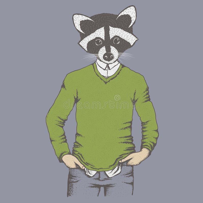 Ejemplo Del Vector Del Mapache Ilustración del Vector - Ilustración de ...