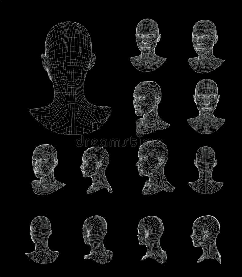 Ejemplo Del Vector Del Modelo De La Cabeza 3d De Wireframe Ilustración ...