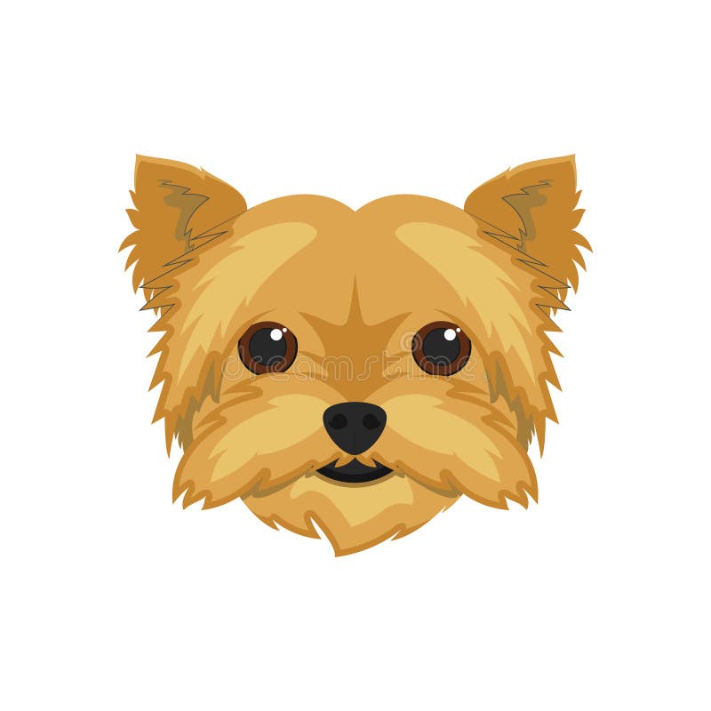 Ejemplo Del Vector Del Perro De Yorkshire Terrier Ilustración del ...