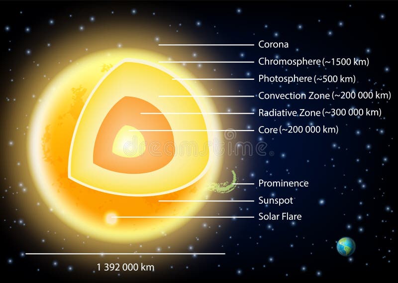 Ejemplo Del Vector Del Diagrama De La Estructura De Sun Ilustración del ...
