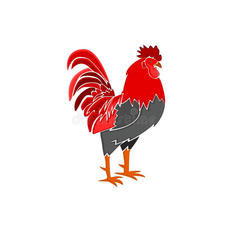Ejemplo Del Vector Del Gallo En Color Ilustración del Vector ...