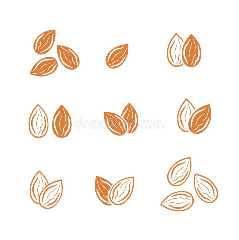 Icono de la almendra ilustración del vector. Ilustración de almendras ...
