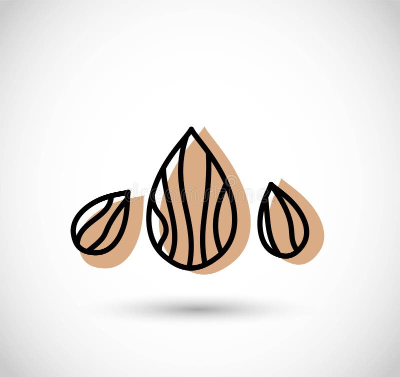 Ejemplo Del Vector Del Icono De La Almendra Stock de ilustración ...