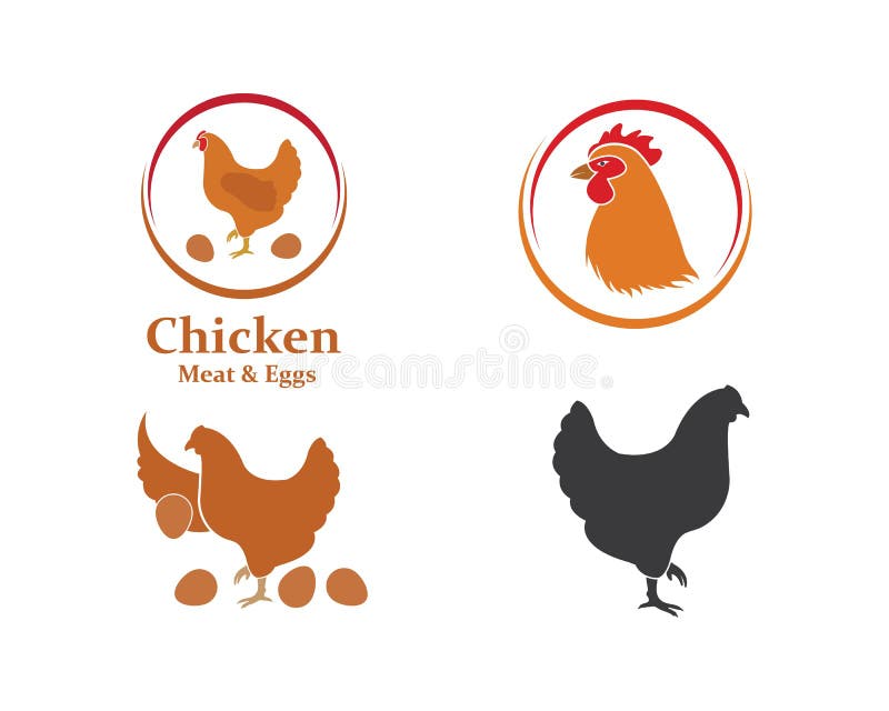 Ejemplo Del Vector Del Pollo Ilustración del Vector - Ilustración de ...