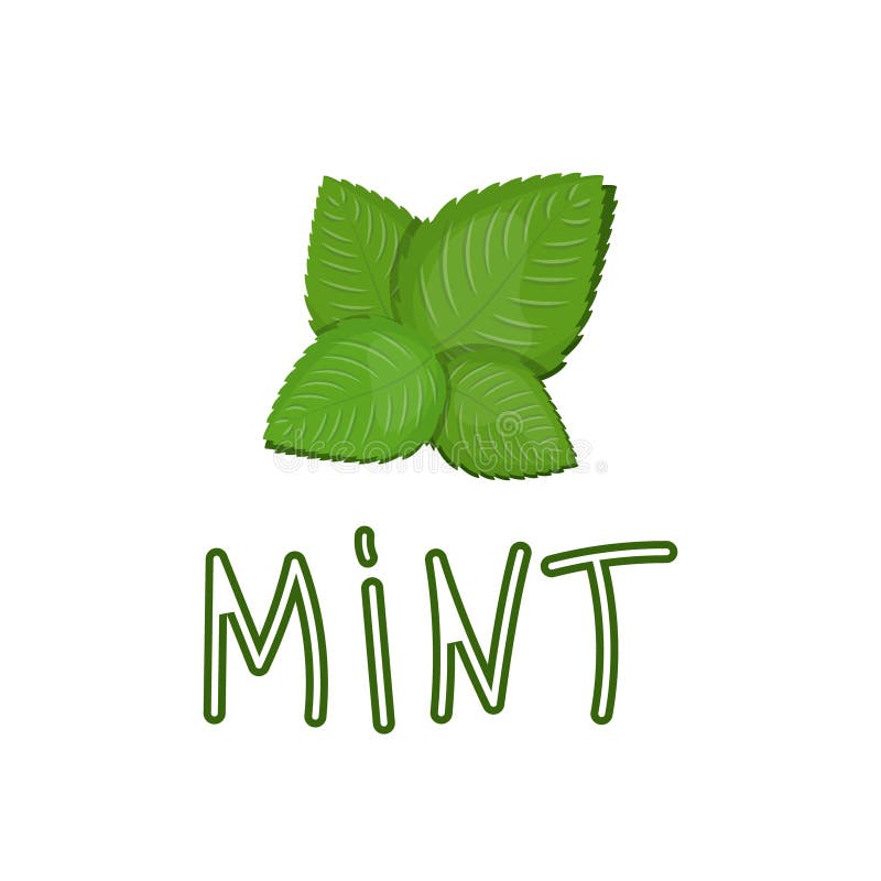 Ejemplo Del Vector Del Verde Menta Ilustración del Vector - Ilustración ...
