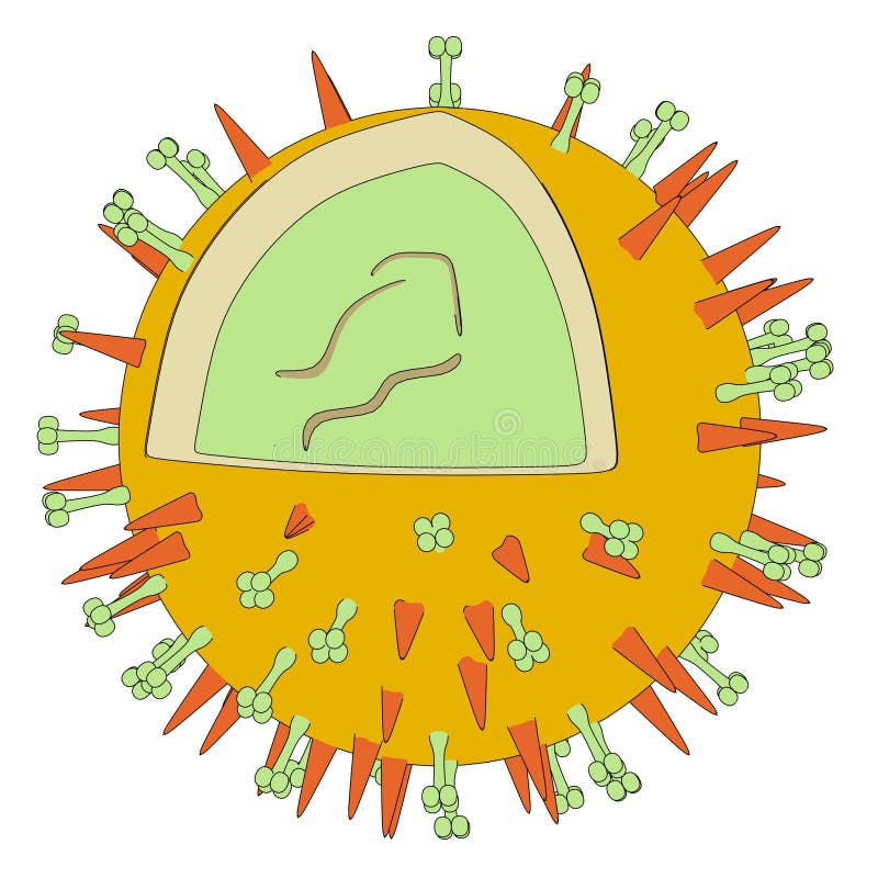 Ejemplo Del Virus De La Gripe Stock de ilustración - Ilustración de ...
