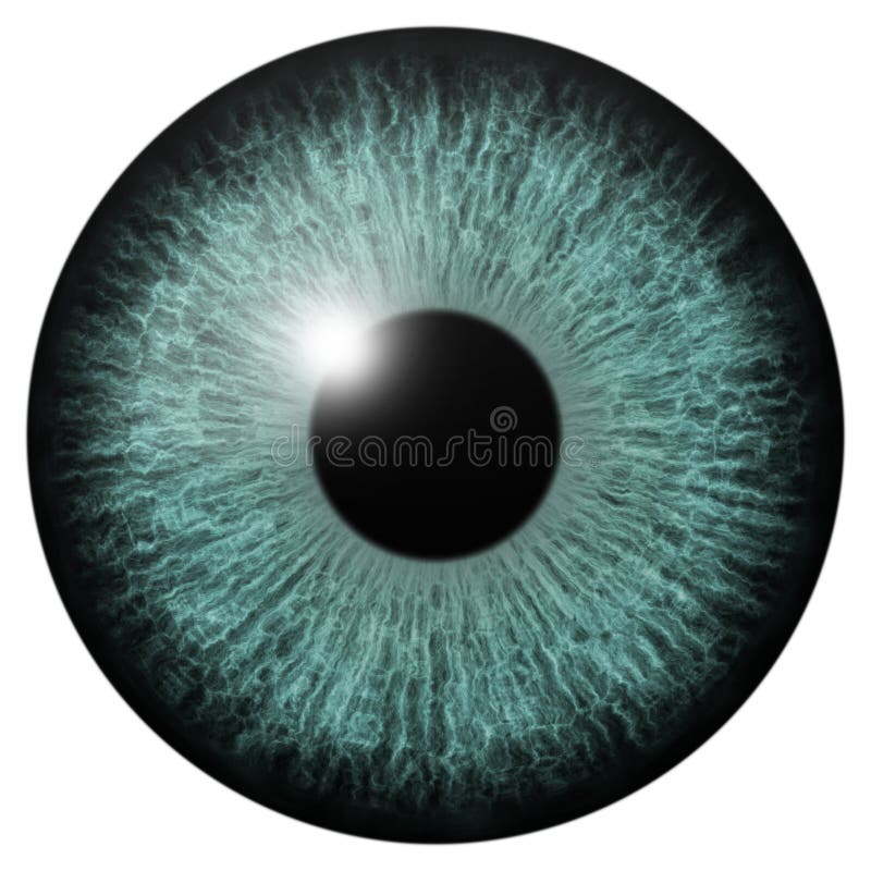 Ejemplo Macro Del Iris Rojo Del Ojo Stock de ilustración - Ilustración ...