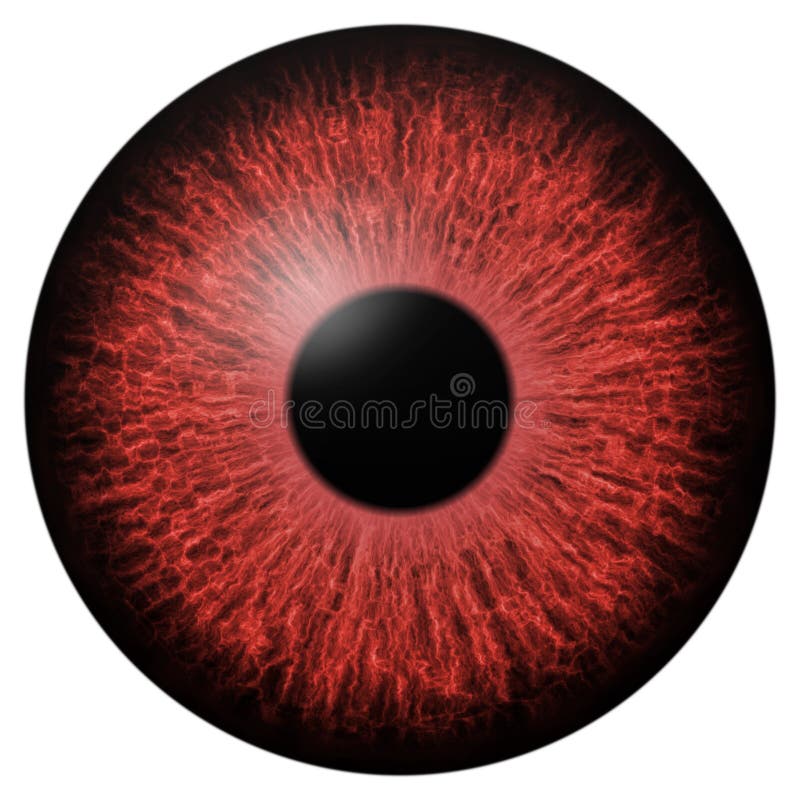 Ejemplo Macro Del Iris Rojo Del Ojo Stock de ilustración - Ilustración ...