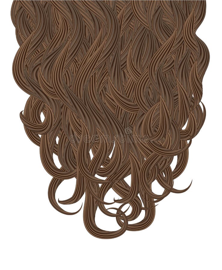 Ejemplo Marrón Del Vector Del Pelo De Los Rizos Ilustración del Vector ...