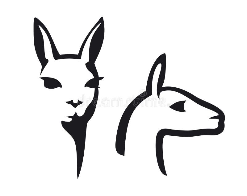 Ejemplo Principal De La Vicuña Ilustración del Vector - Ilustración de ...