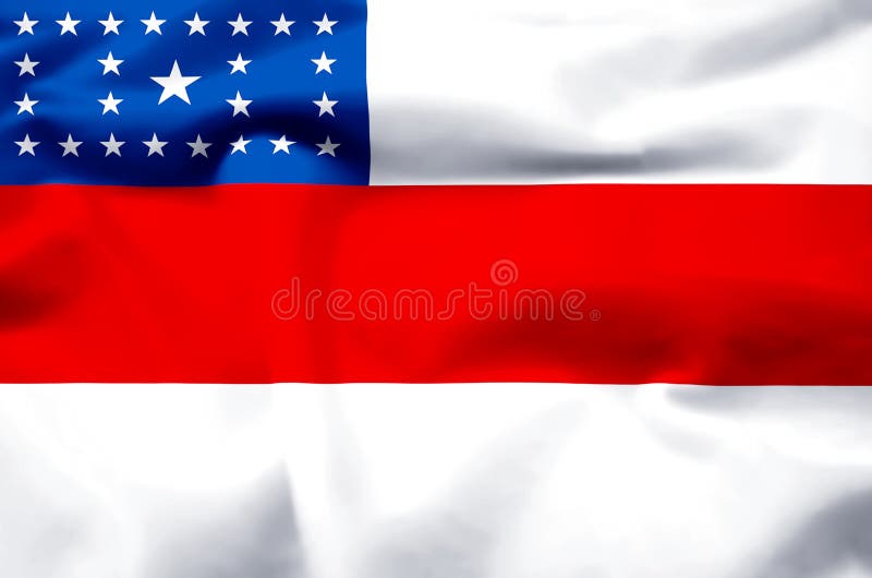 Ejemplo Realista De La Bandera De Amazonas Stock de ilustración ...