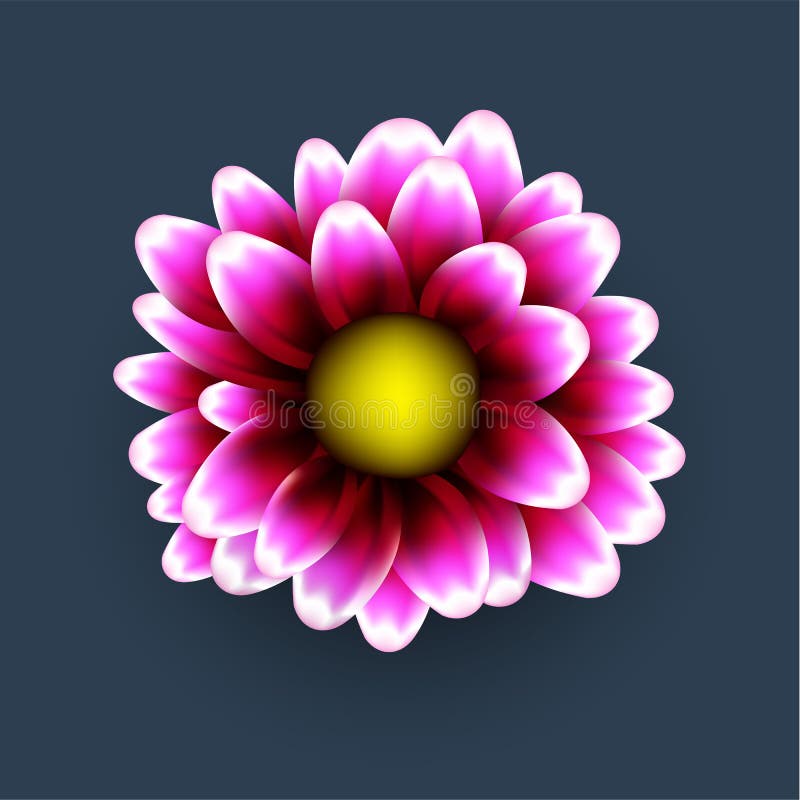 Ejemplo Rosado Del Vector De La Flor Ilustración del Vector ...