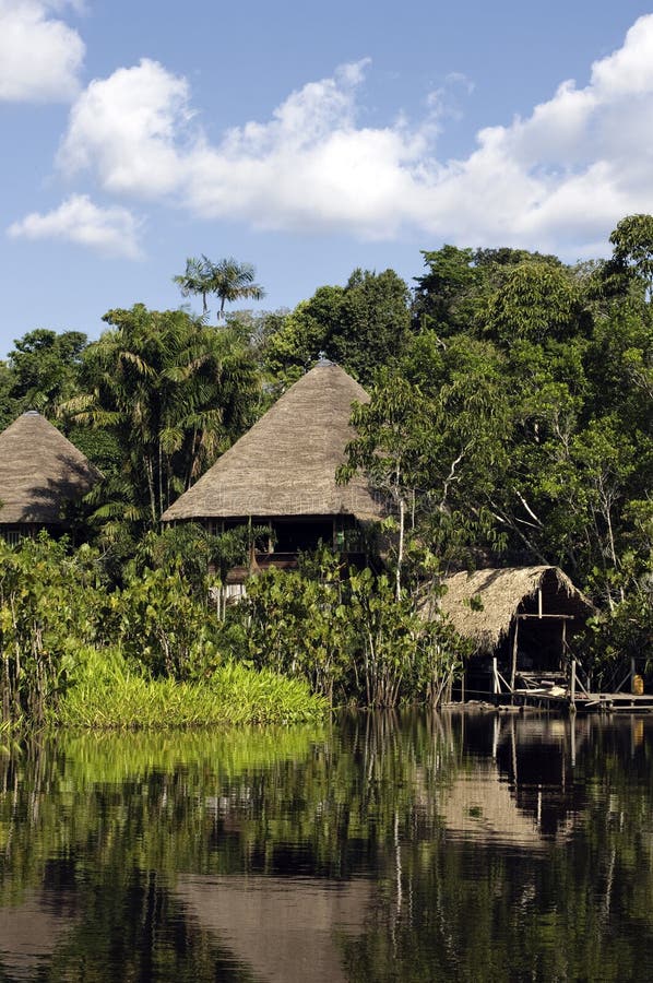 El Amazonas imagen de archivo. Imagen de amazonas, selva - 17875991