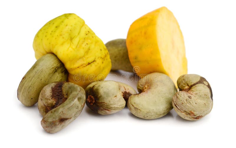 Frutas Tropicales Del Anacardo En El Fondo Blanco Imagen de archivo ...