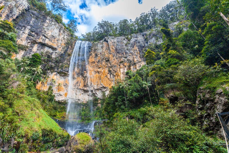 El Arco Iris Cae En Una Selva Tropical Imagen de archivo - Imagen de ...