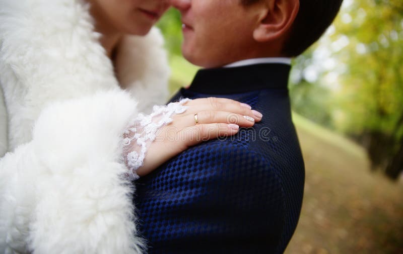 El Besarse De Novia Y Del Novio Imagen de archivo - Imagen de alineada ...