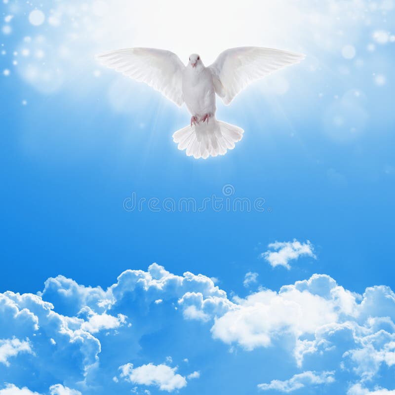 El Pájaro Del Espíritu Santo Vuela En Cielos, Luz Brillante Brilla De ...