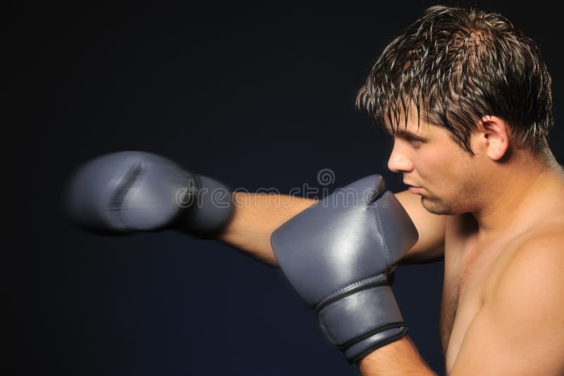 El boxeador imagen de archivo. Imagen de azul, hombres - 11454643