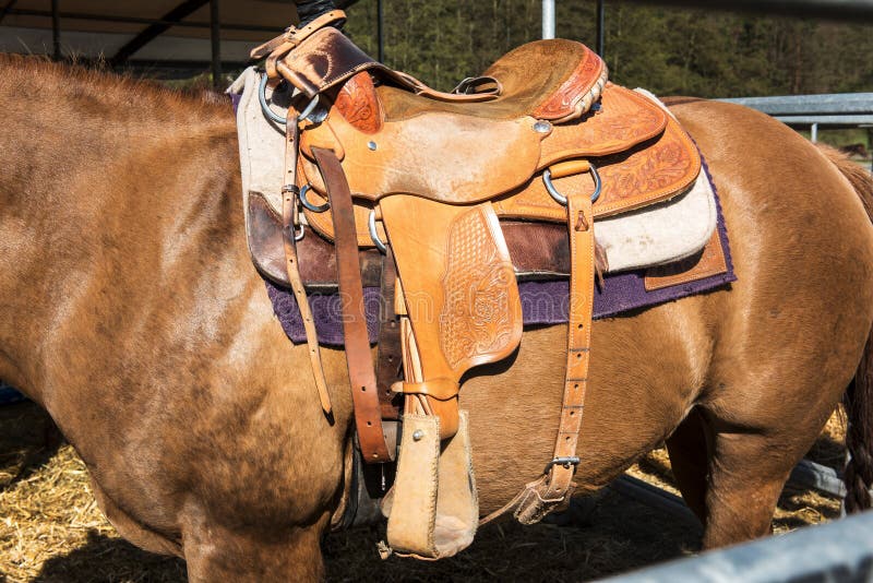 El Caballo Con La Silla De Montar Imagen de archivo - Imagen de ...