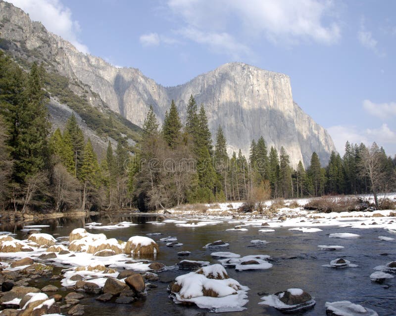 El Capitan View in Yosemite Nation Park Stock Photo - Image of nature ...