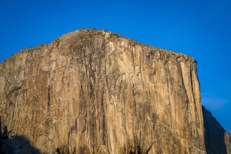 El Capitan View in Yosemite Nation Park Stock Photo - Image of nature ...
