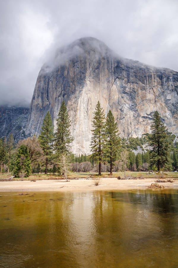 El Capitan Reflected in Merced River, Yosemite Valley Stock Photo ...