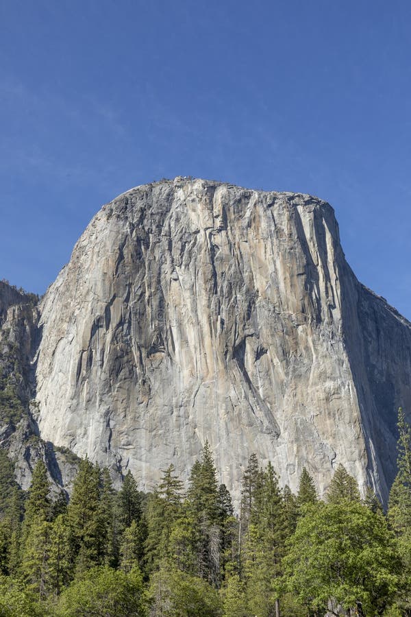 El Capitan Rock in Yosemite Valley Stock Photo - Image of forest ...