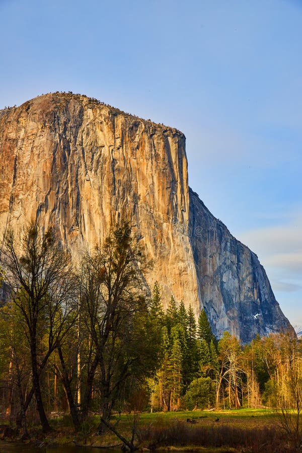 El Capitan at Sunset from Valley View in Yosemite Stock Image - Image ...