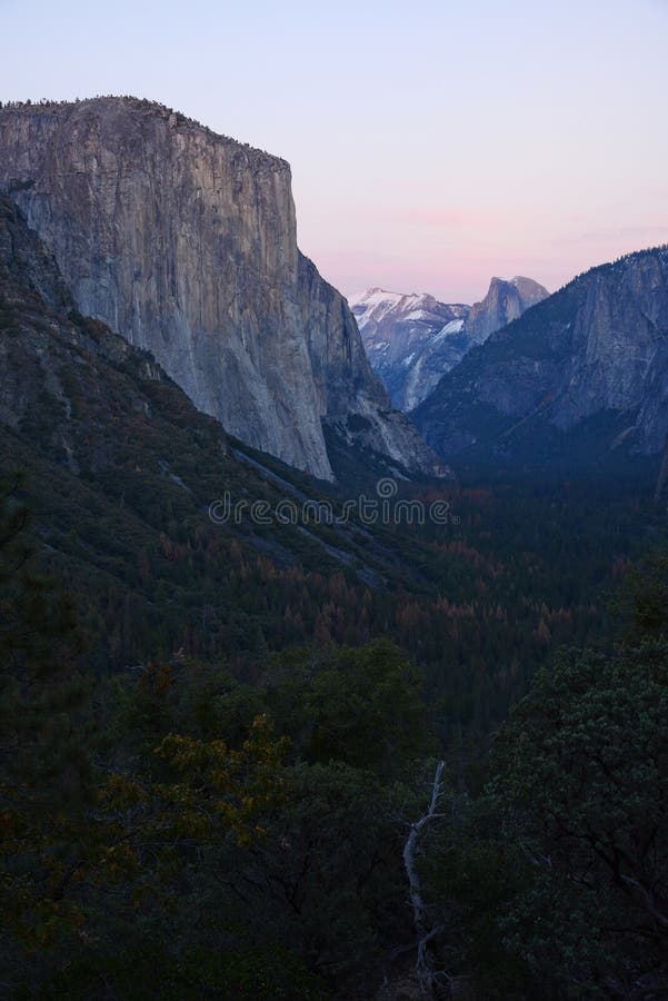 El Capitan stock photo. Image of pine, viewpoint, evening - 71902228